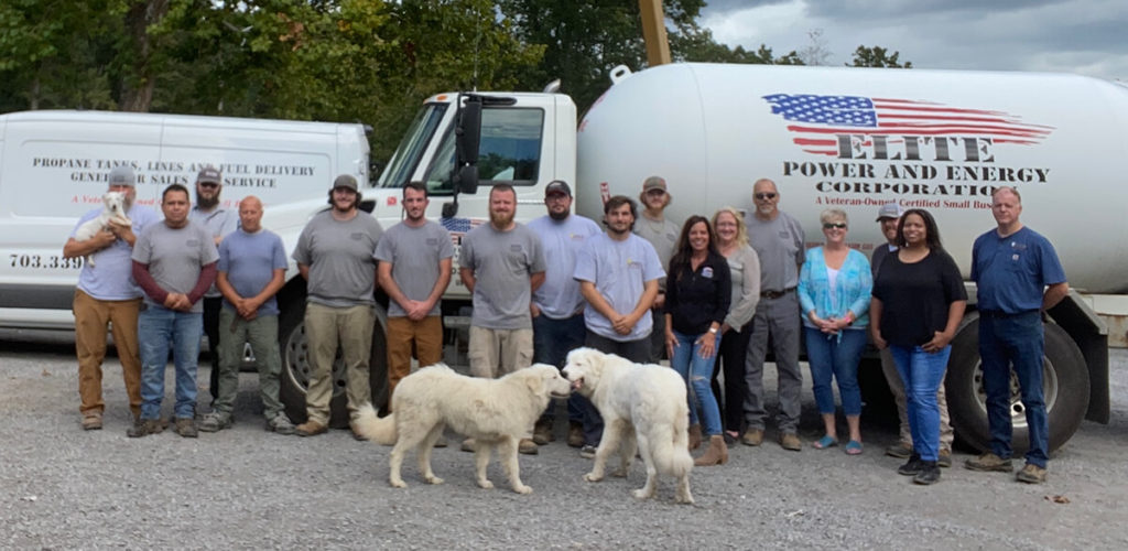 About Our Company - Elite Power and Energy Corp.